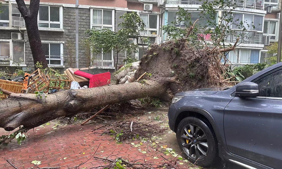 Typhoon Bebinca Makes Landfall in Shanghai - datasurfr