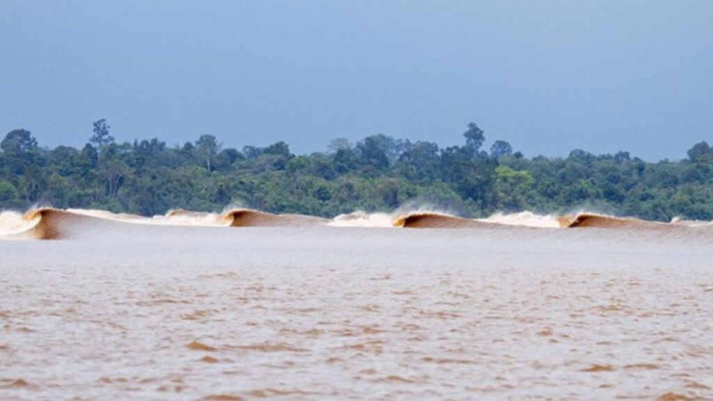 Tidal Flooding Risk in Coastal West Sumatra