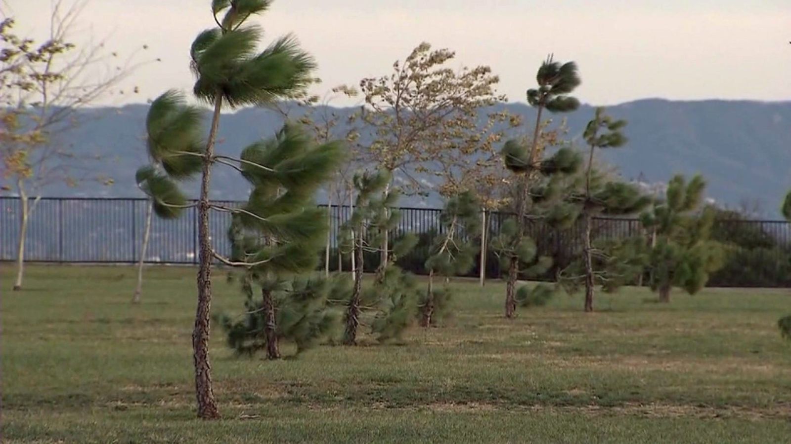 Wind Advisory Across Southern California Valleys