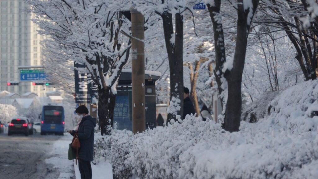 Situational Brief: Cold Wave Warning Across South Korea - datasurfr